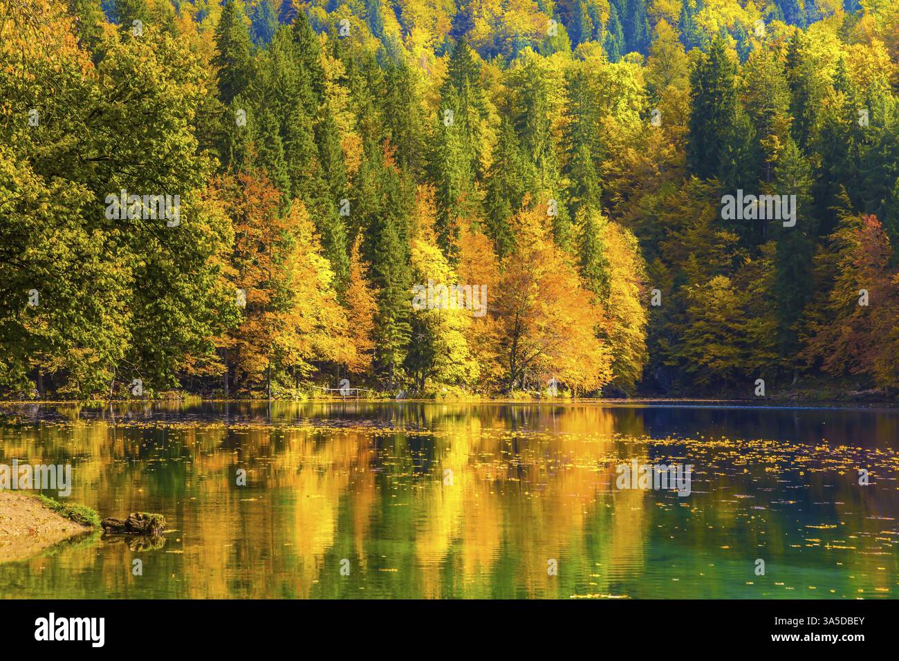 Flood after rain. The quiet lake Lago de Fusine. Fantastically ...