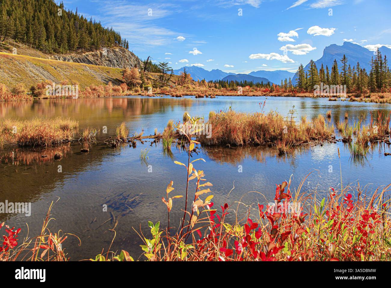 Magnificent golden autumn in the Rocky Mountains of Canada. Mountains ...