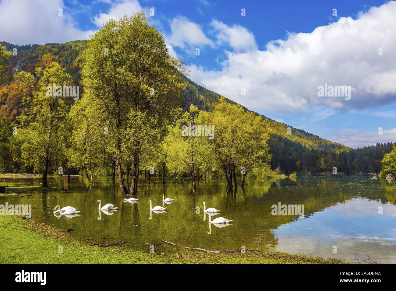 Lake Lago de Fusine. Laghi di Fusine, Tarvisio, Province of Udine ...