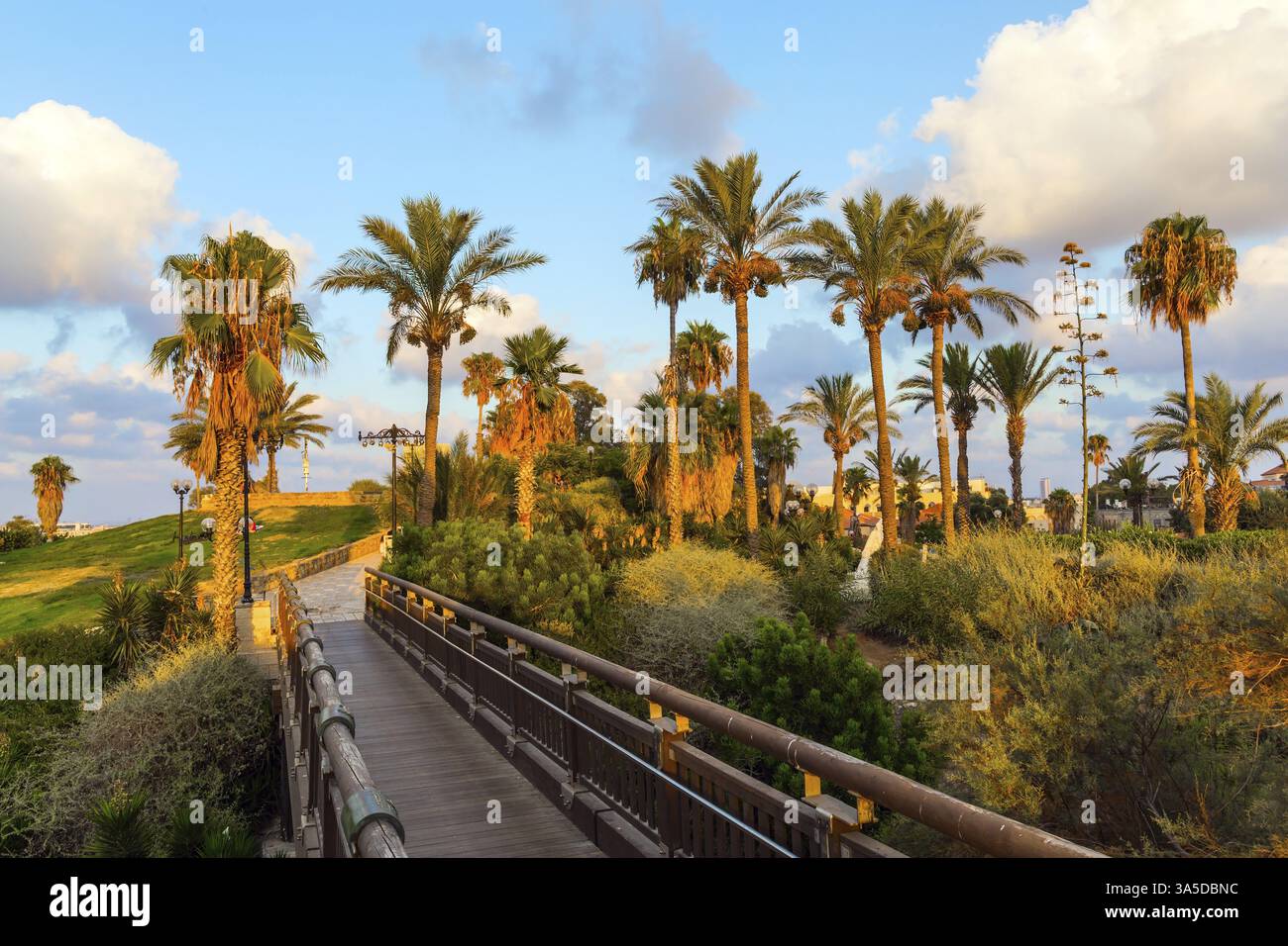 Picturesque bridge over a ravine. Evening twilight over Old Jaffa ...