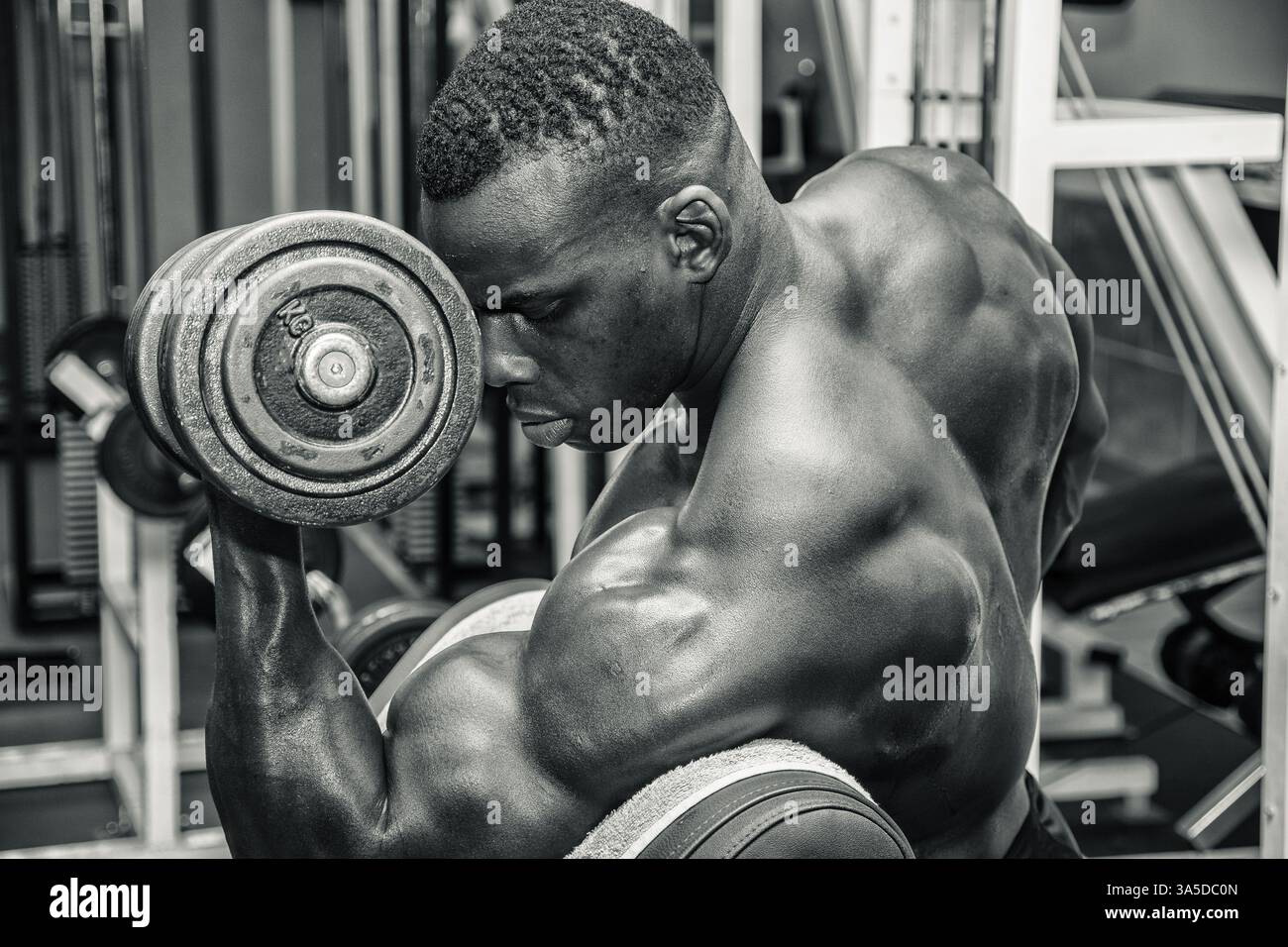 Hunky muscular black bodybuilder working out in gym, exercising biceps ...