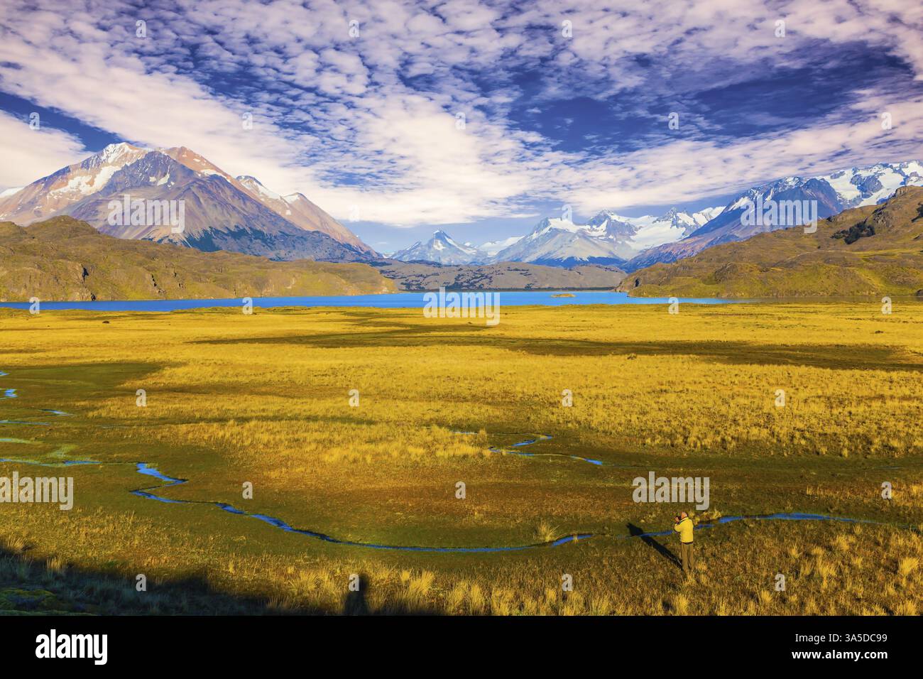 The field is impregnated with streams from underground sources. The ...