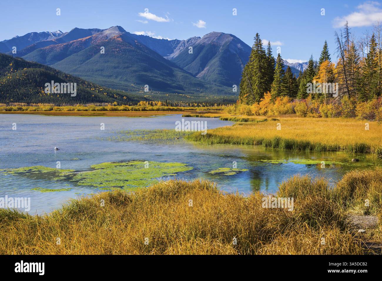 The forest, mountains and lakes. Beautiful Lake Vermilion in the ...