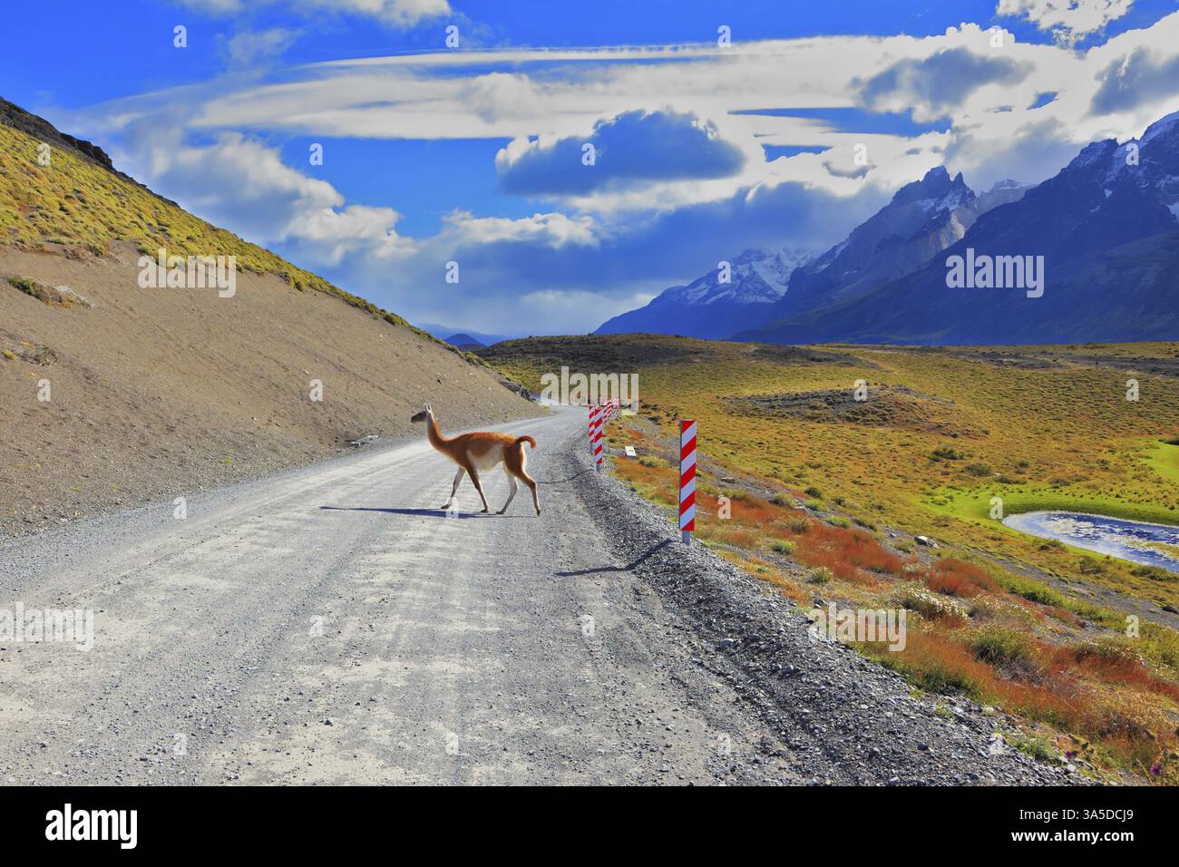 Magic country Patagonia. Hills National Park Torres del Paine. Sleek ...