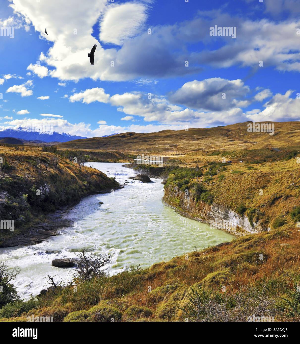 National Park Torres del Paine, Patagonia, Chile. The river bends ...