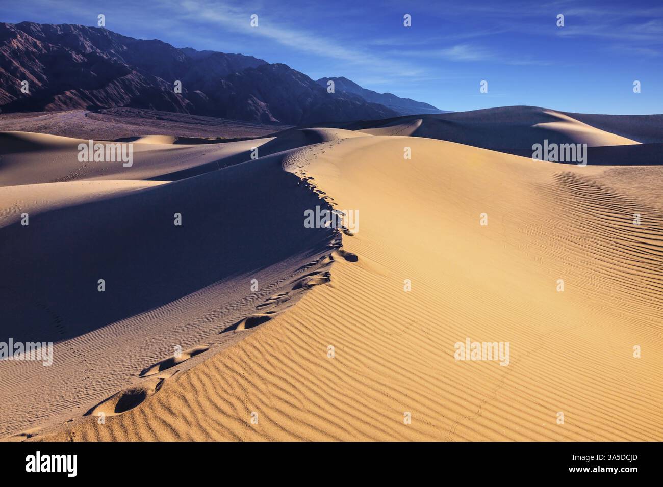 Sandy Desert in Mesquite Flat, Death Valley, USA. Along the edge of the ...