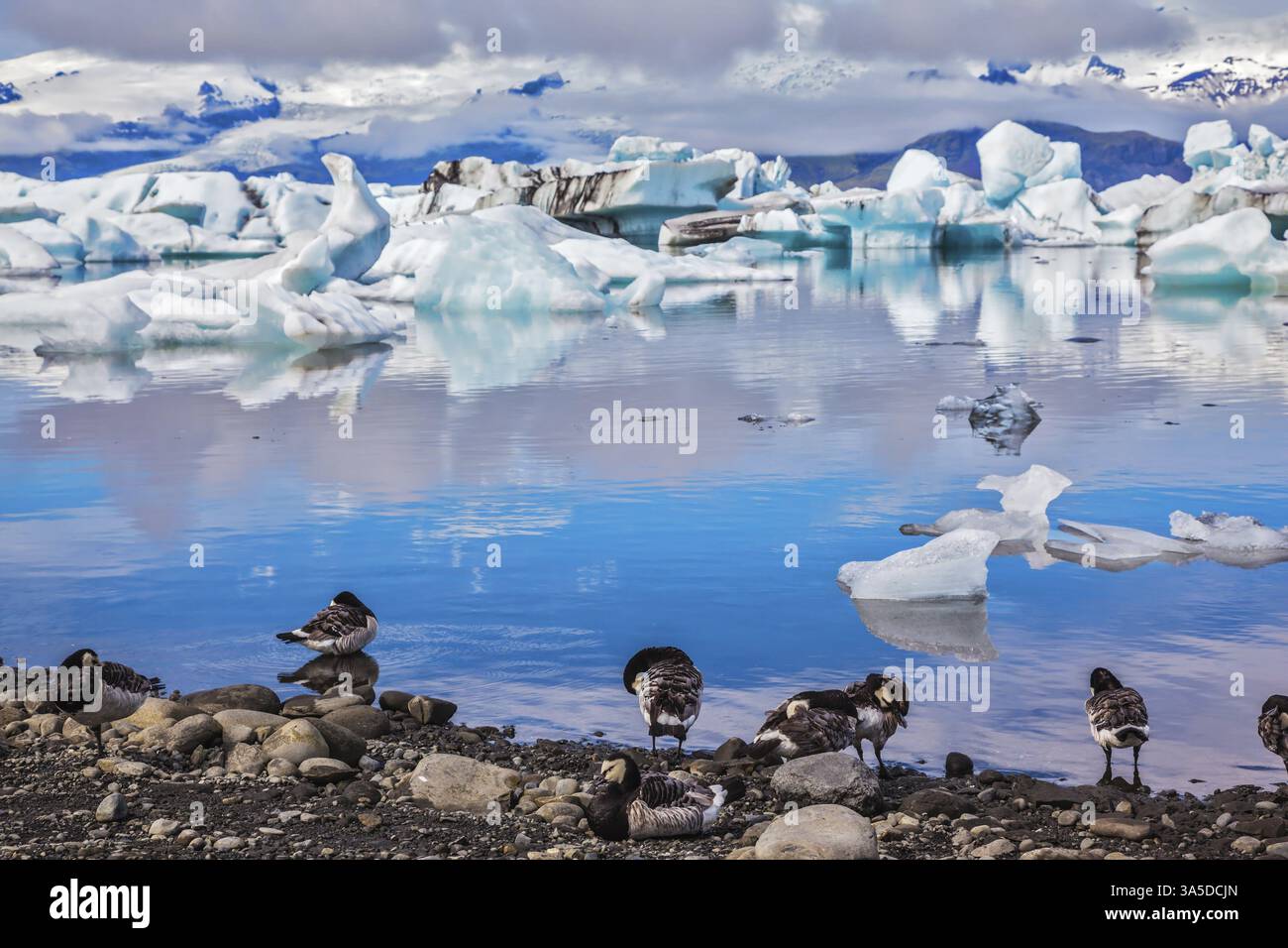 Magnificent summer morning in ocean Ice lagoon with floating ice floes ...