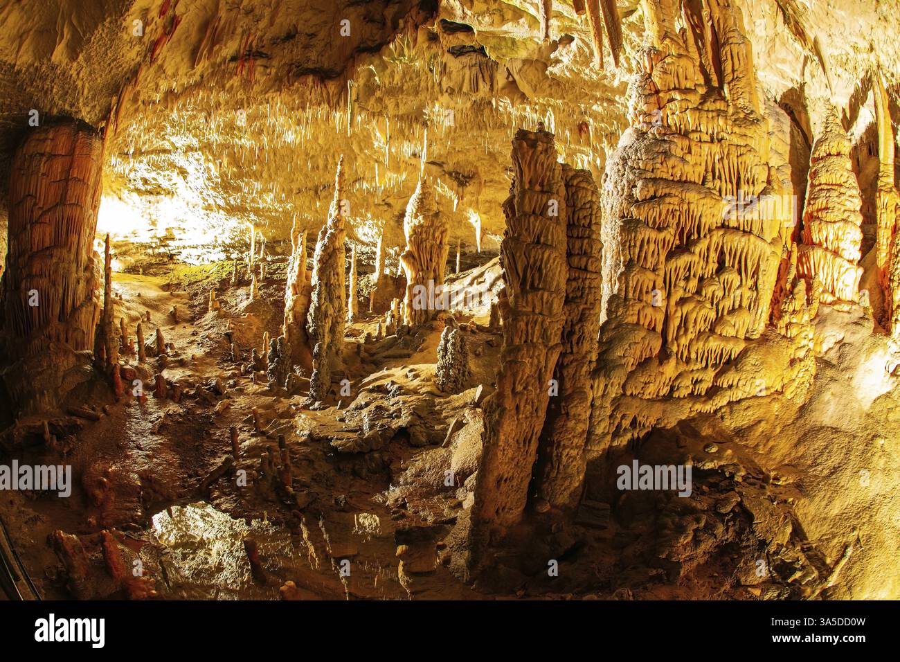 Postojna Cave. Colossal system of underground caves in Slovenia ...
