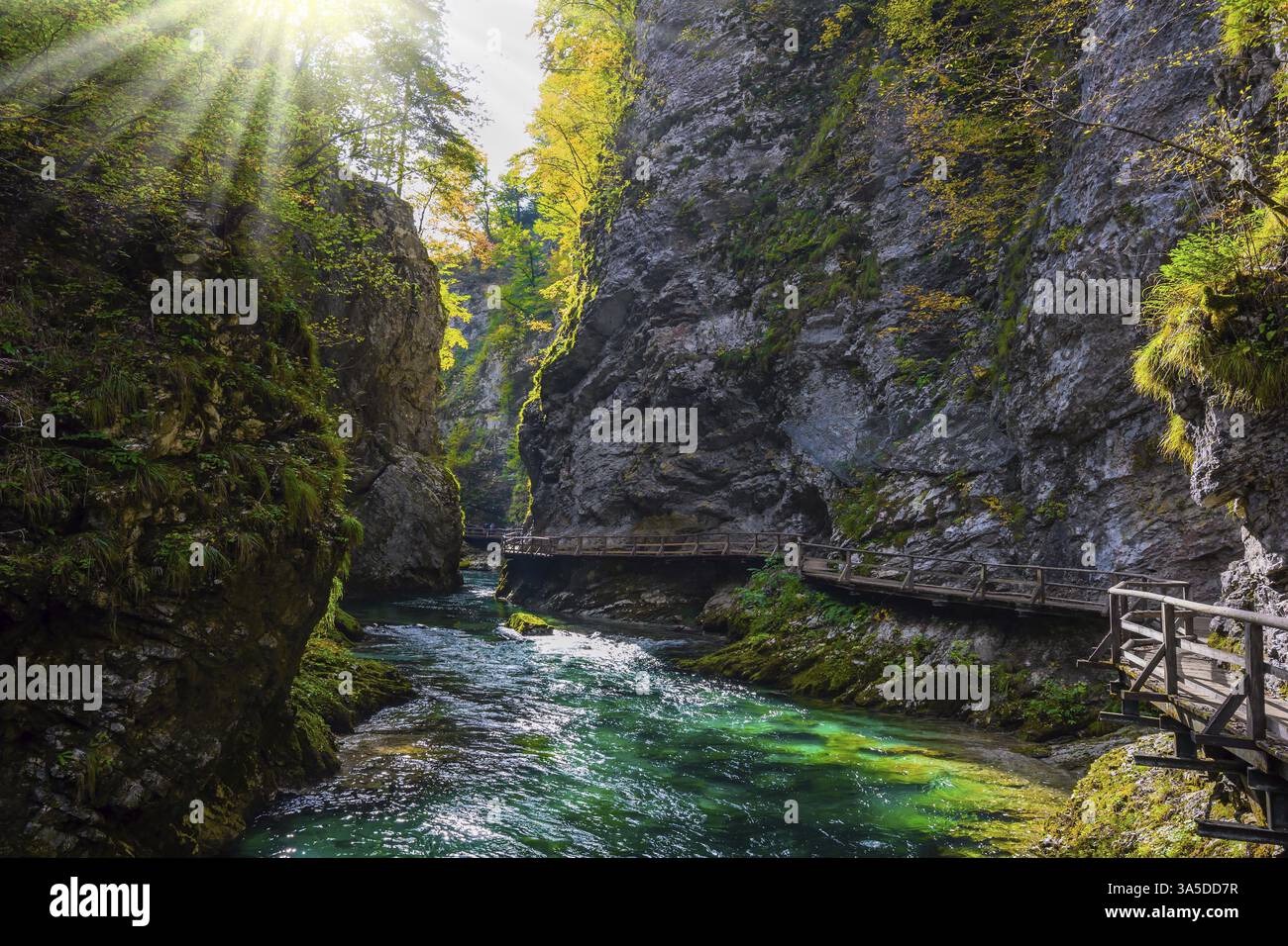 Sun illuminates the mountain river with azure water. Vintgar gorge ...