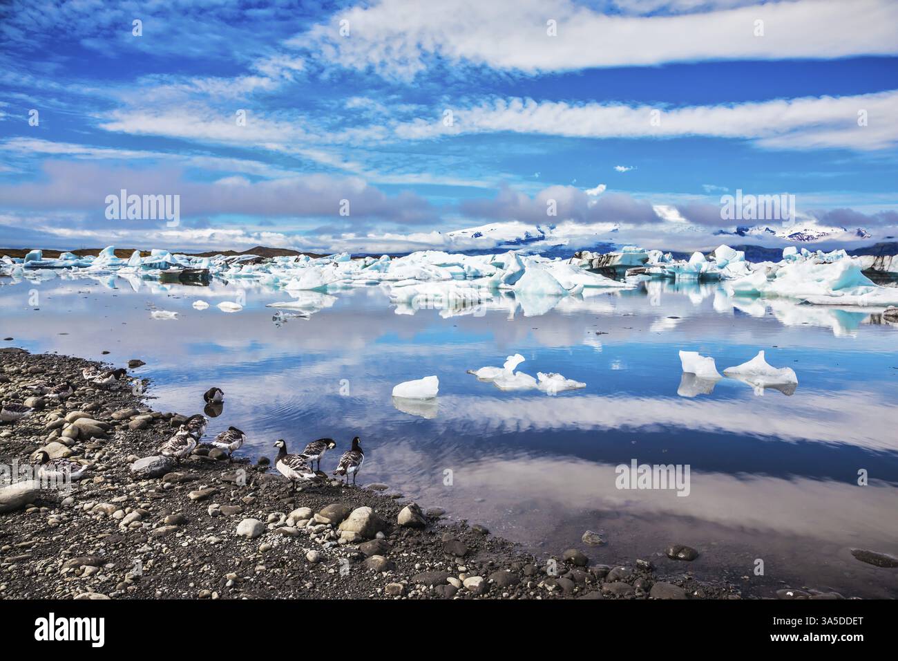 Ice magnificence. Iceland. Floating ice and clouds are reflected in ...
