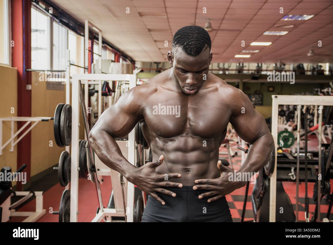 Attractive hunky black male bodybuilder doing bodybuilding pose in gym ...