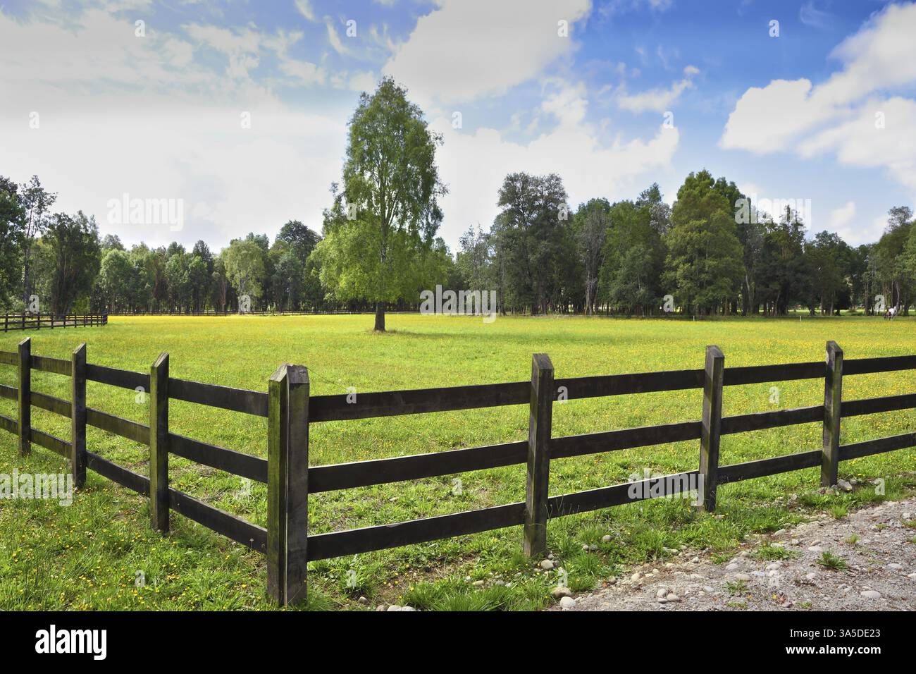 The green grassy rural field fenced with a low strong fence Stock Photo ...