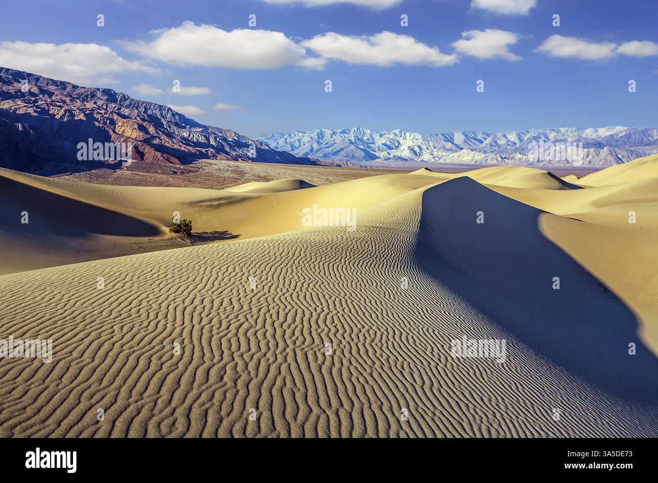 Easily accessible dunes are located along Road 190. Magical desert ...