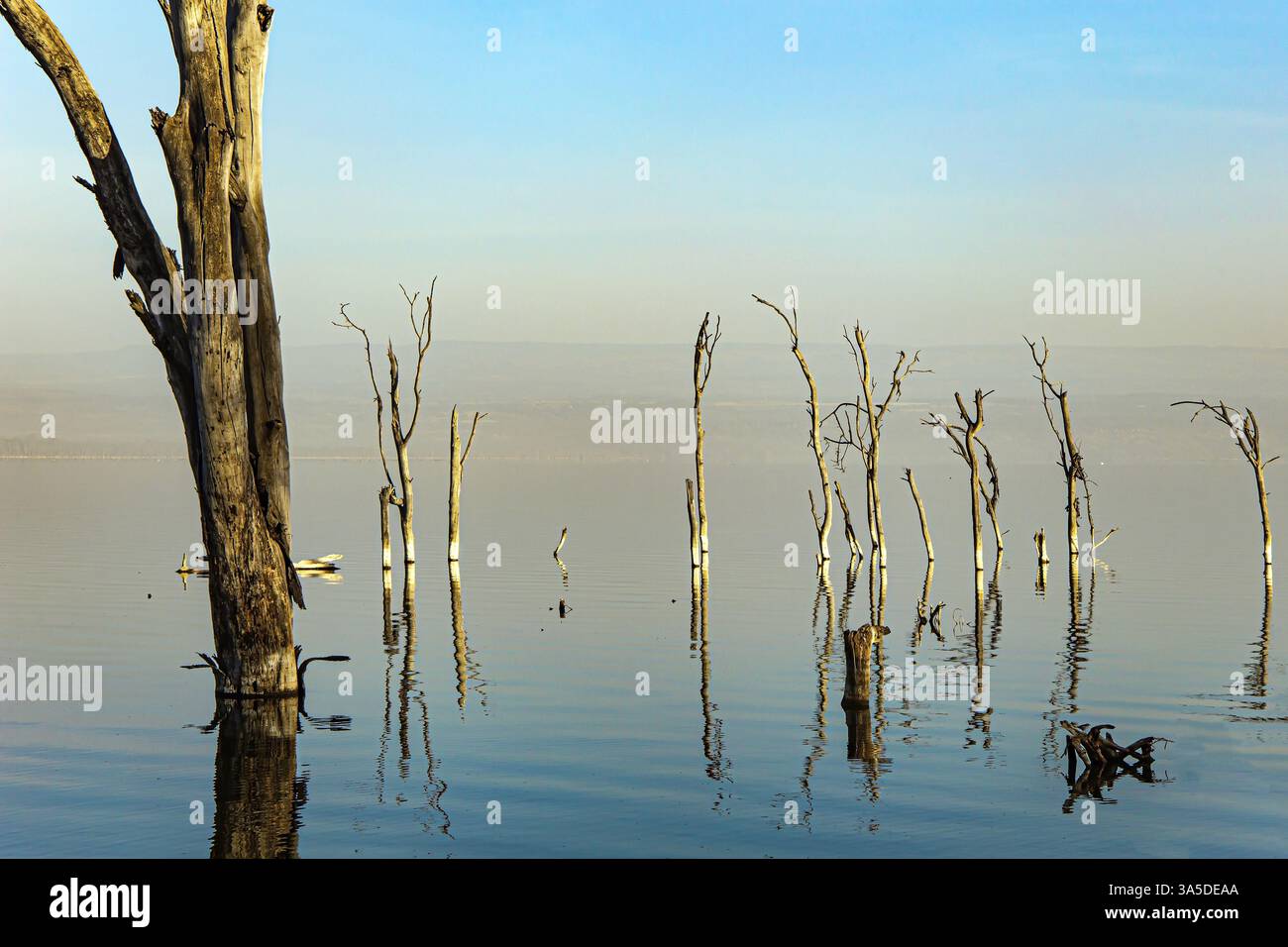 Lake Nakuru National Park. Central Kenya in East Africa. Journey to the ...