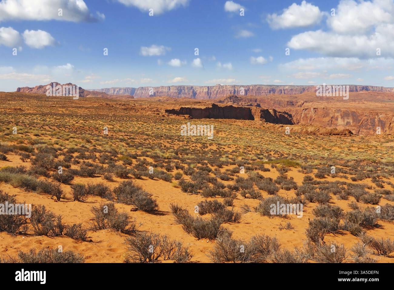 Walking around the famous Horseshoe Canyon in the U.S.. Trampled sandy ...