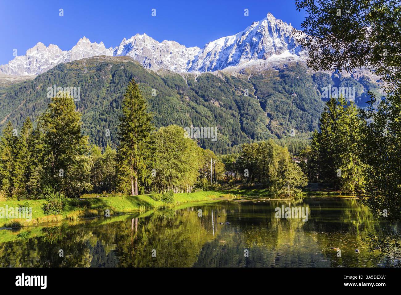 City Park is illuminated by the sunset. Concept of active and ...