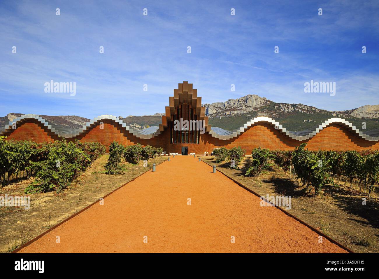 Fantastic beauty. Winery - bodegas. The magnificent modern architecture ...