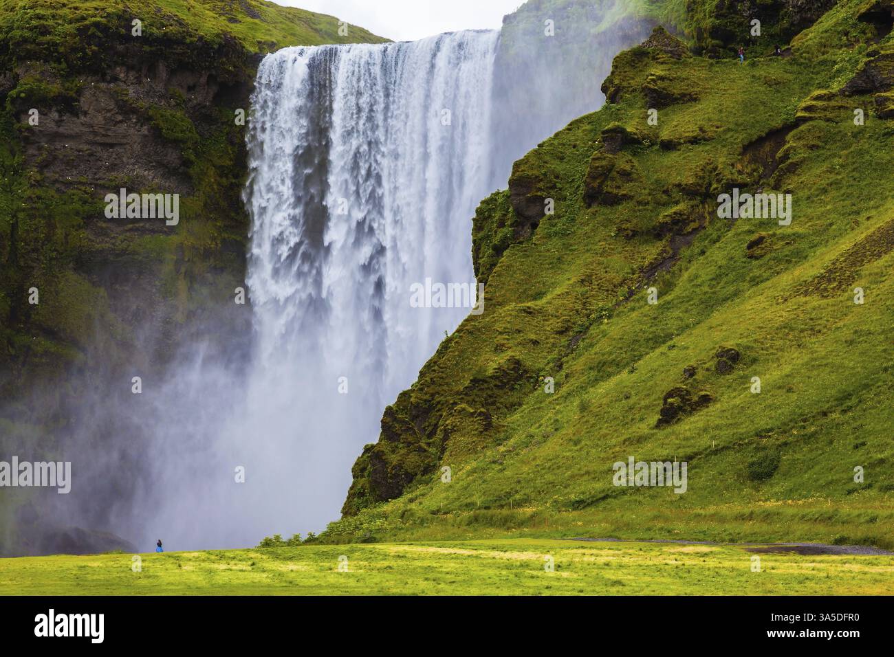 Magnificent famous waterfall Skogafoss, Iceland. A powerful jet Skogar ...