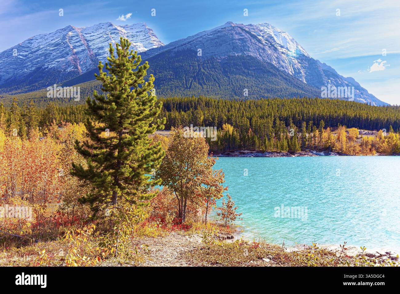 Dense evergreen forests surround the lake. Mountain peaks covered with ...