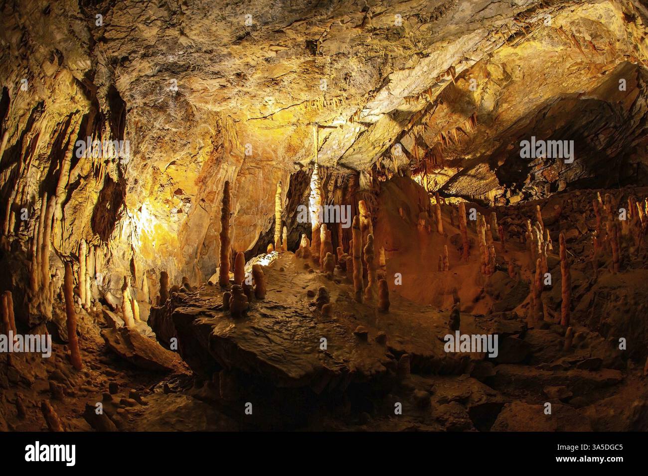 Postojna Cave. Limestone plateau in Slovenia. Colossal system of caves ...