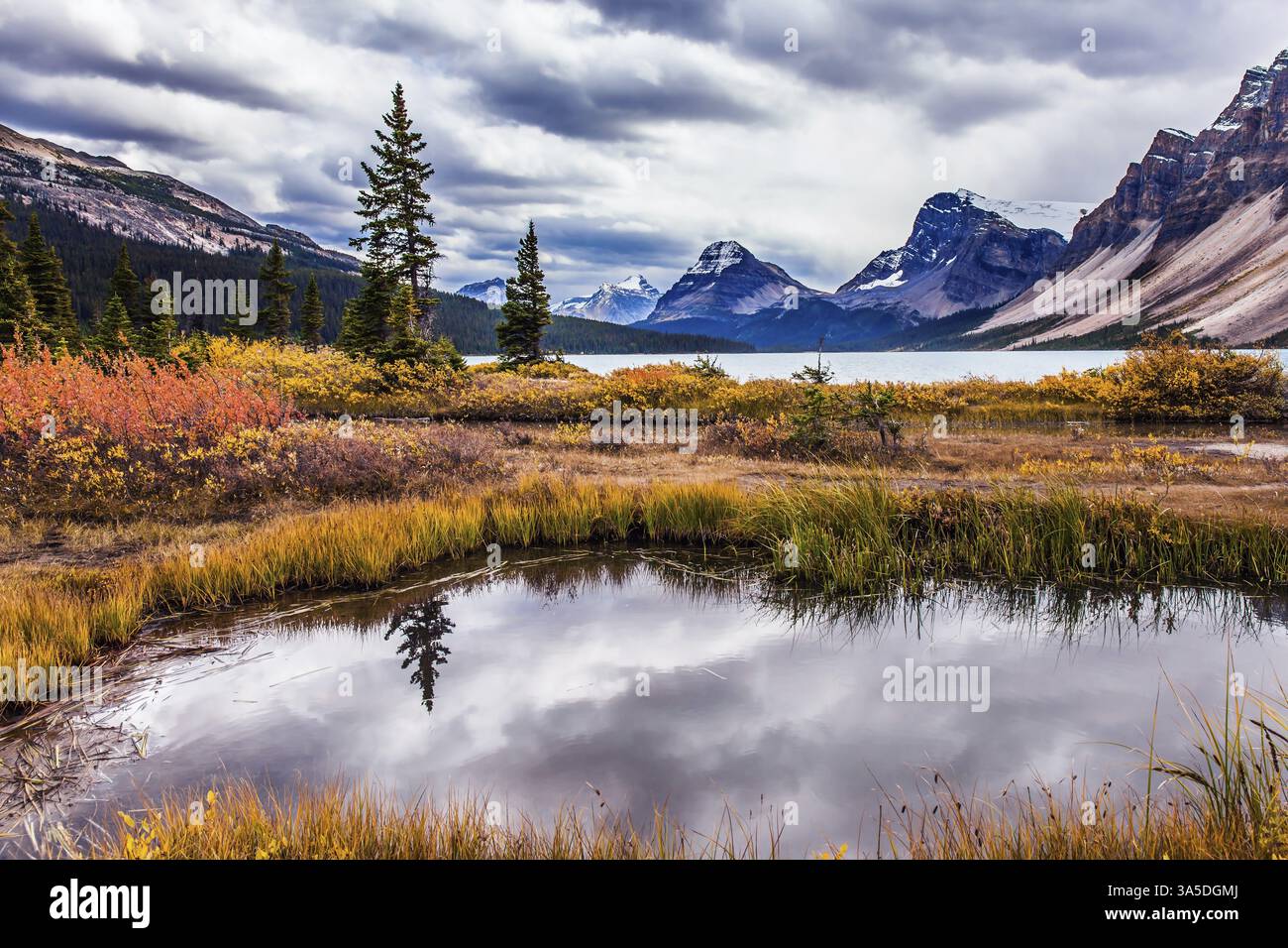 The Rockies of Canada. Red, yellow and orange autumn grass on the ...