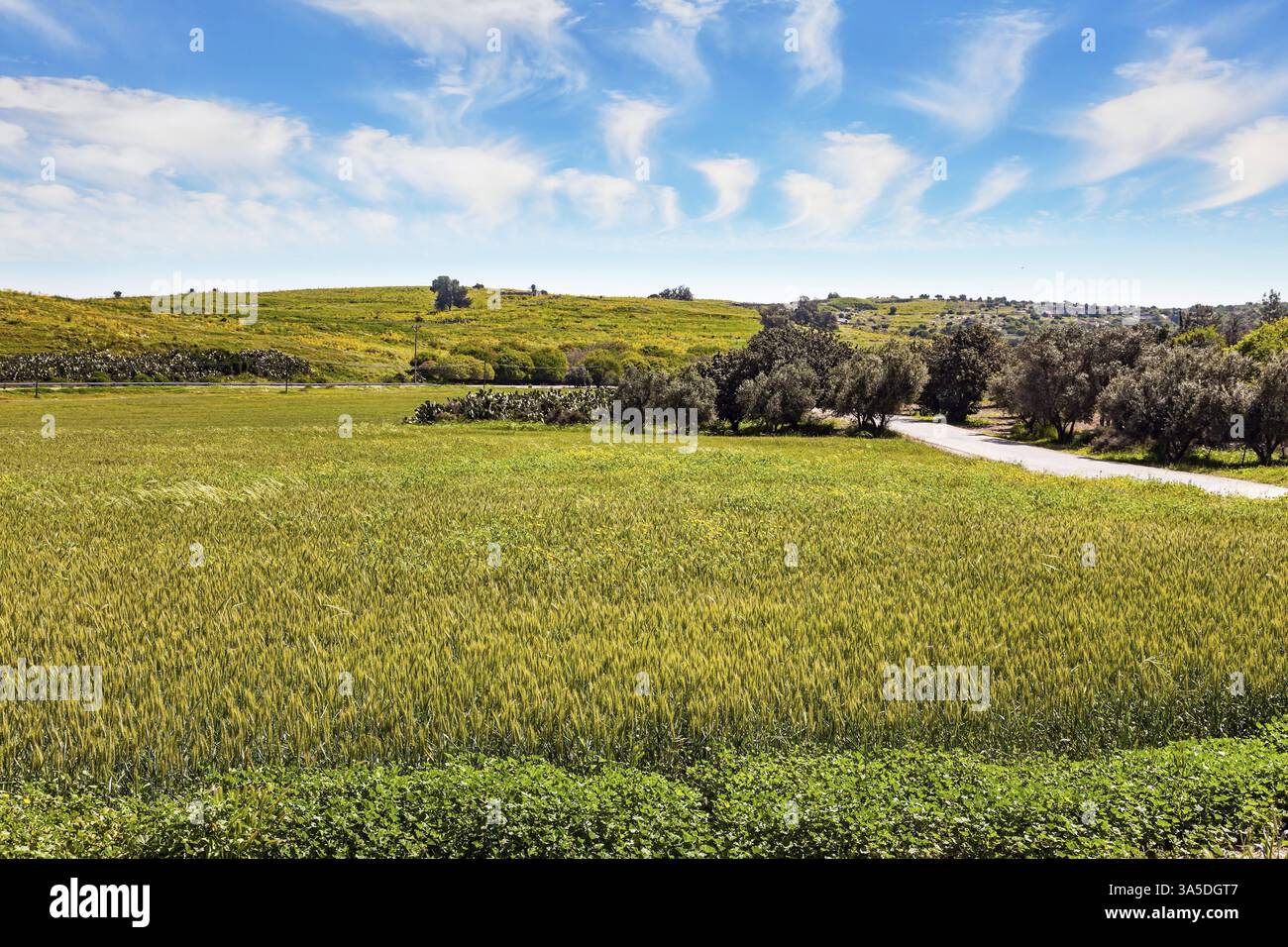 The famous underground national park Beit Guvrin, Israel. Bell Caves ...