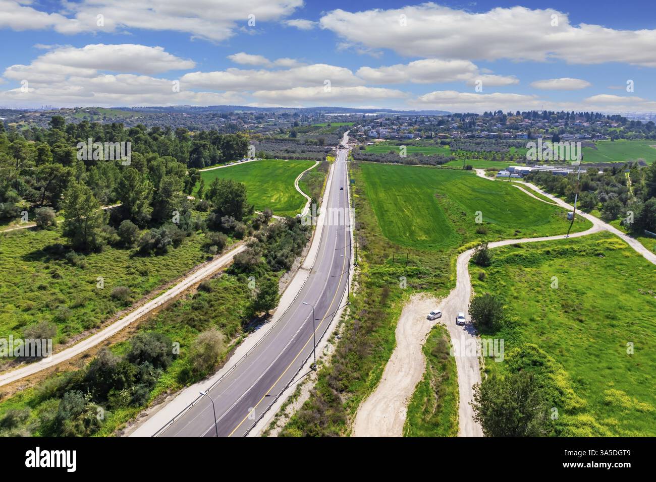 The green forest Ben Shemen in the center of Israel. Spring grass and flowers grow in forest ...