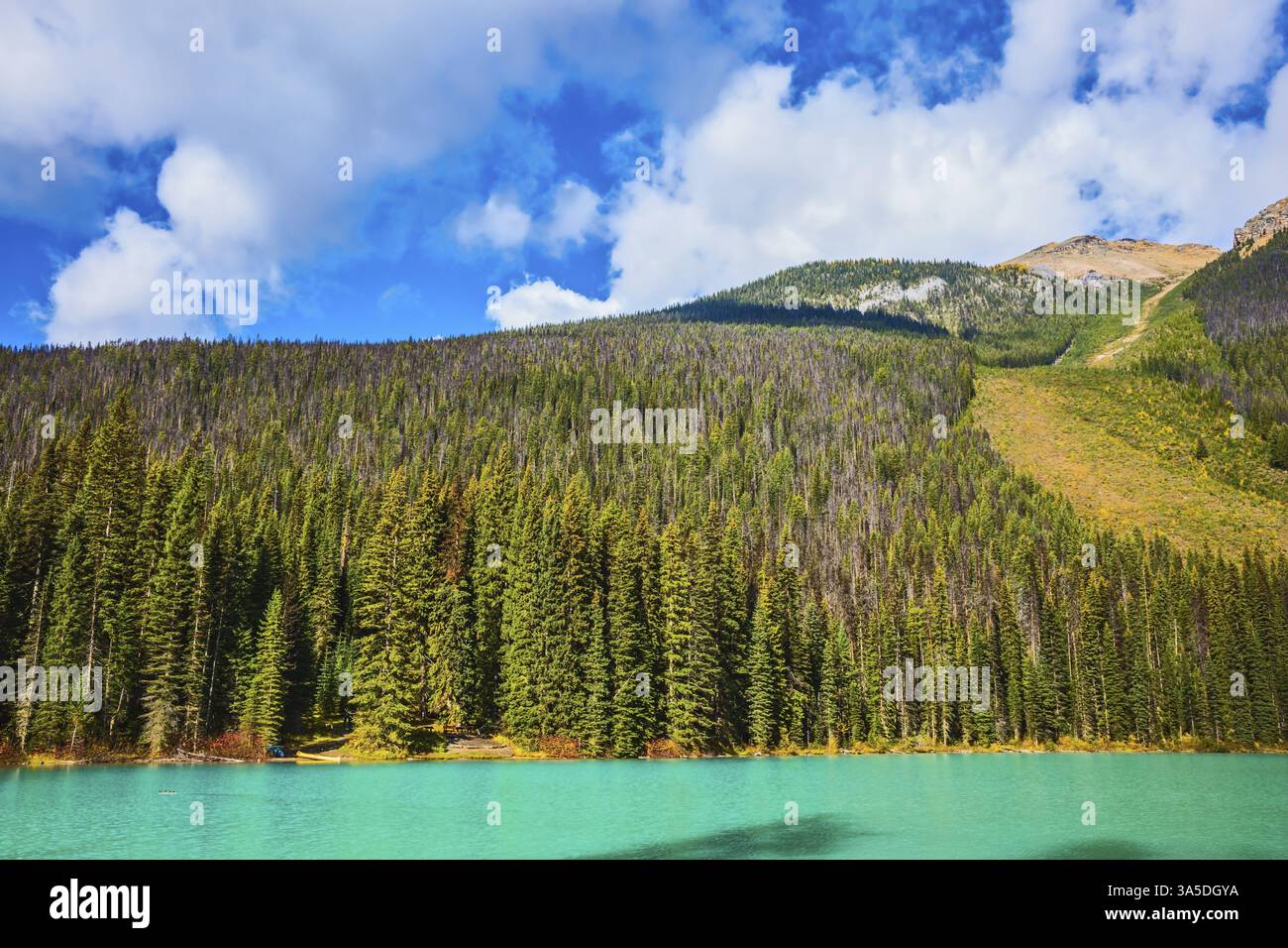 The emerald-green lake surrounded by a pine forest. Magic mountain ...