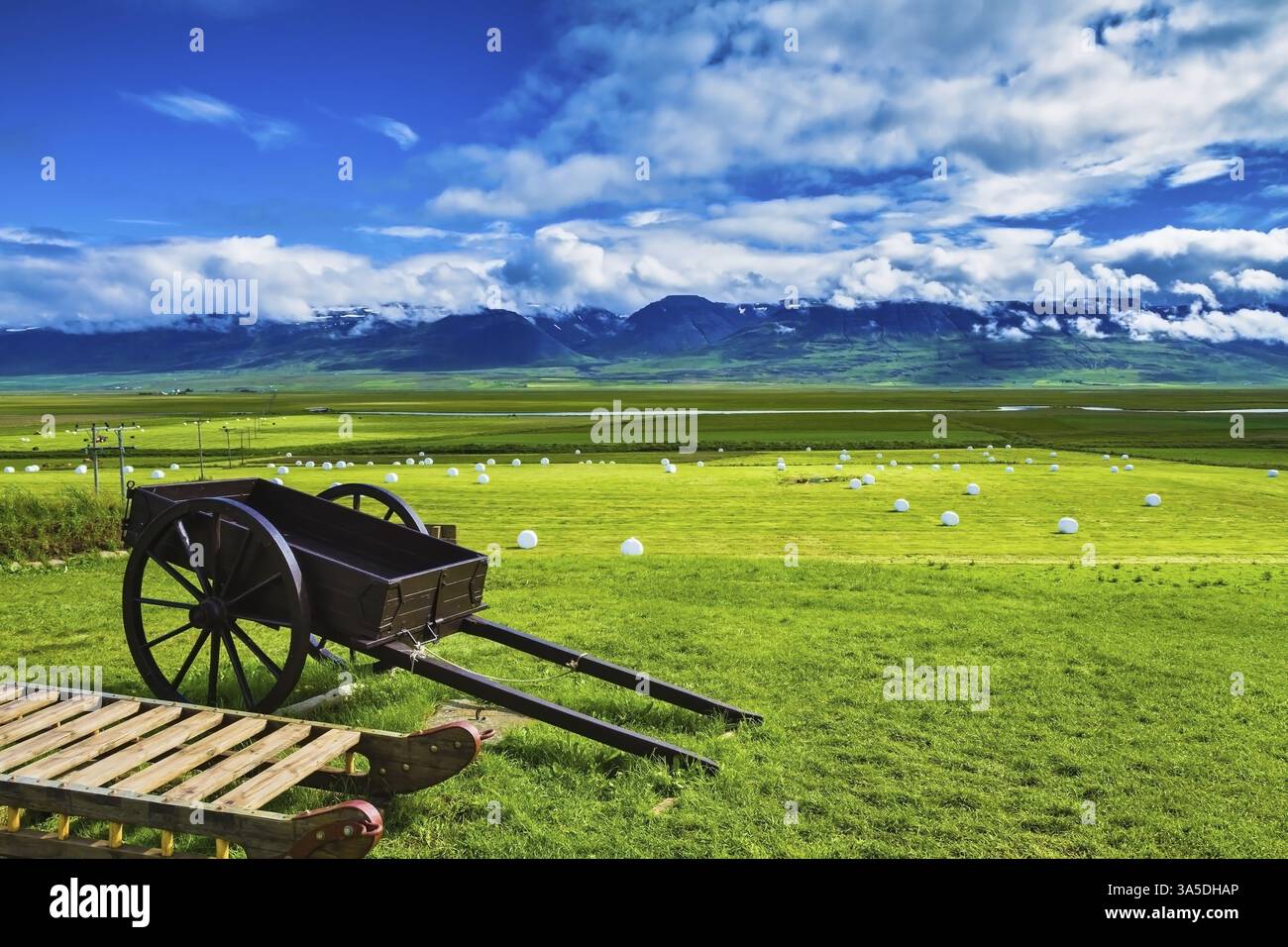 Old wooden sledge and two-wheeled cart on the lawn. The reconstituted ...
