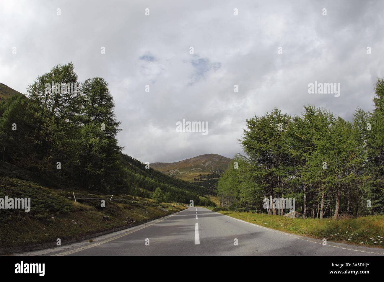 Straight as an arrow road receding into the distance. Photo taken by ...