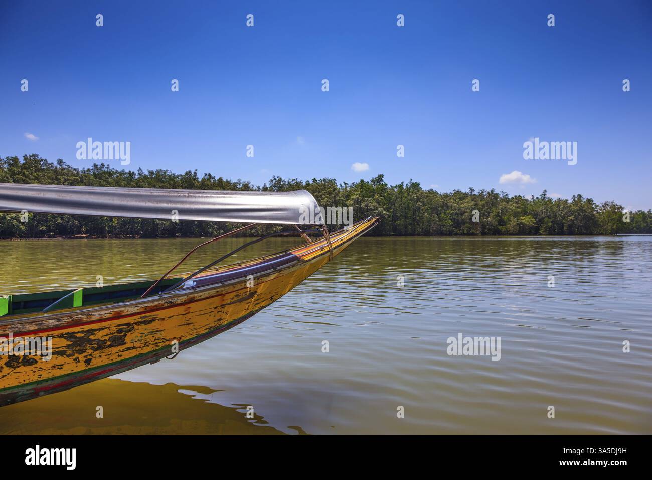 Travel in the native boat Longtail in the spring. Marshy channels and ...