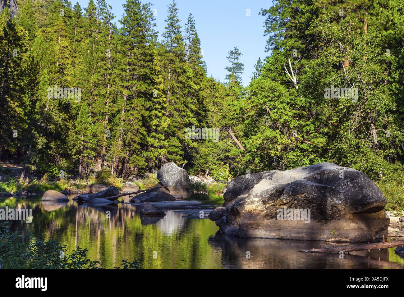 The shady forest is reflected in the water. Charming little lake in the ...