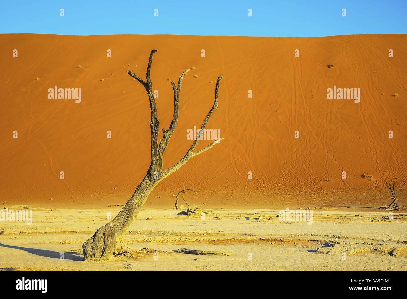 The dried lake Deadvlei. Picturesque ancient dried-up tree. Namibia ...