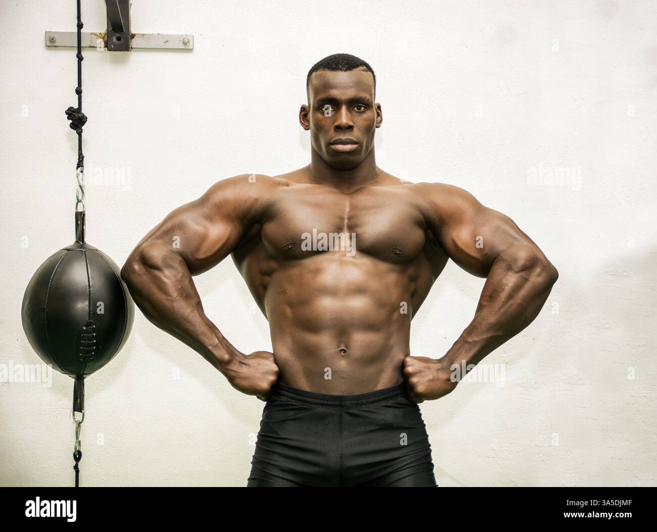 Attractive hunky black male bodybuilder doing bodybuilding pose in gym ...