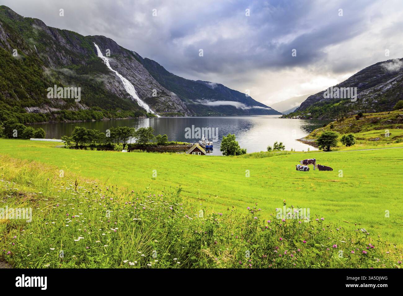 Phen natural hi-res stock photography and images - Alamy