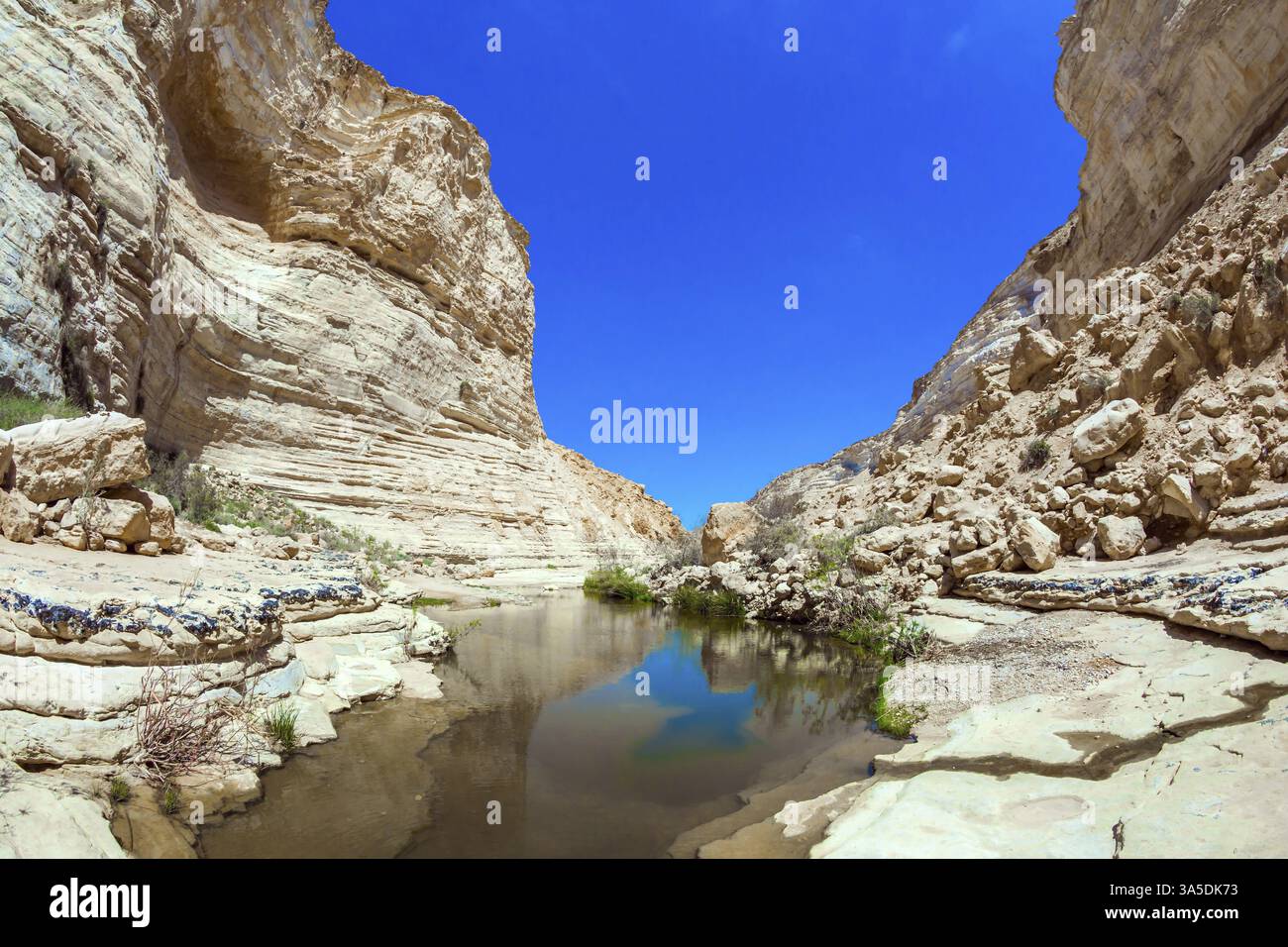 The magnificent gorge Ein Avdat is the most beautiful in the Negev ...