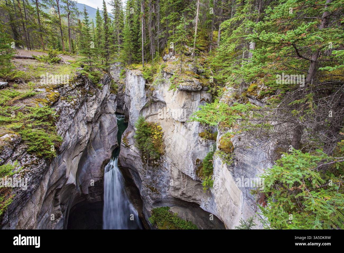 Powerful waterfall in a picturesque gorge Maligne Canyon. The sheer ...