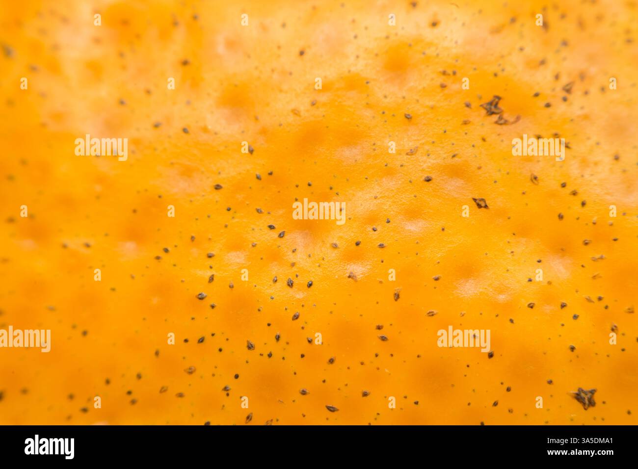 Macro of fruit orange peel texture surface orange color in nature use ...