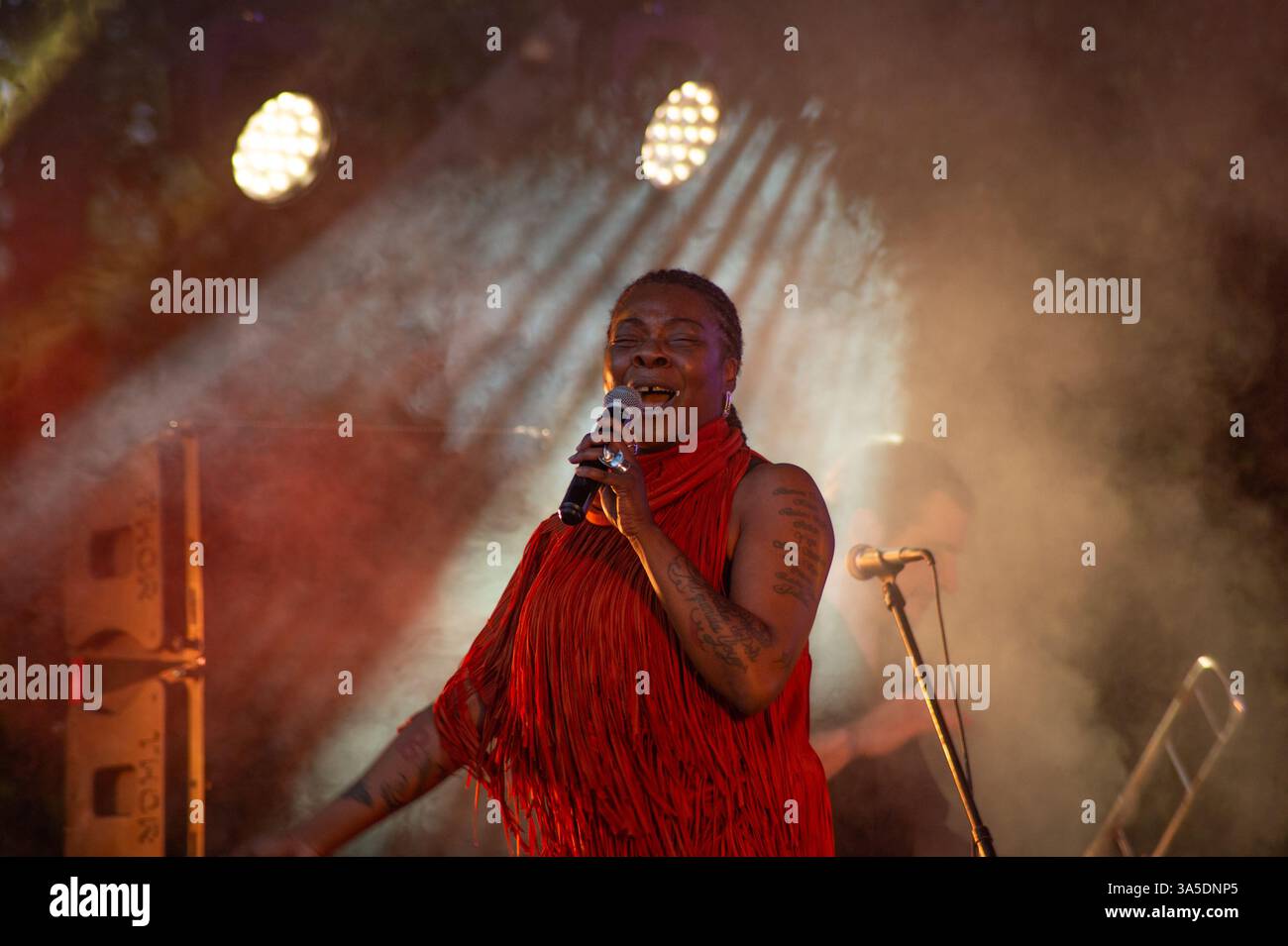 Equatorial Guinean-Spanish singer, María Concepción Buika, known as ...