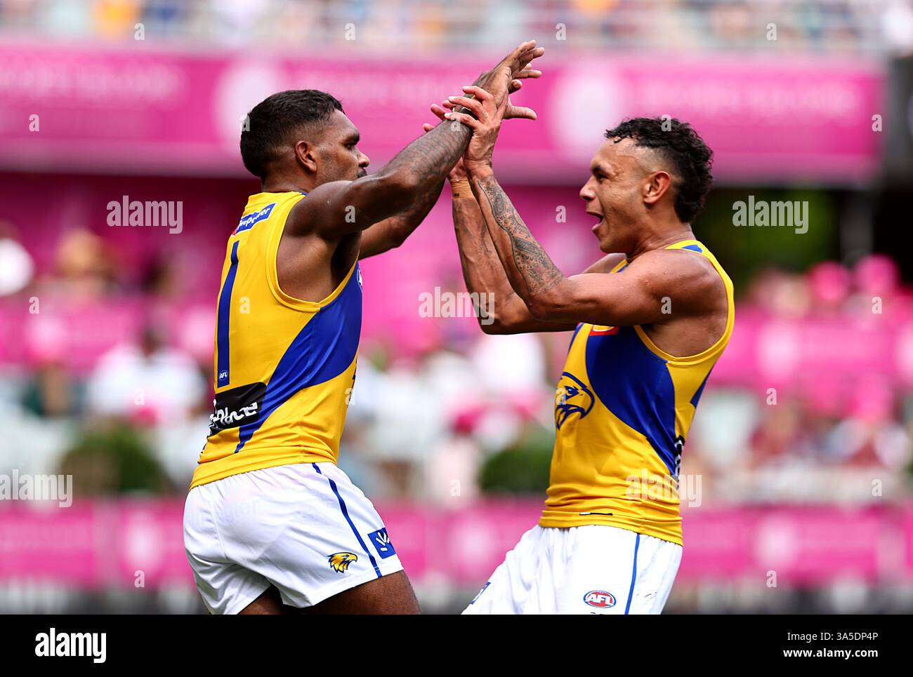 Brisbane, Australia. 23rd Mar, 2025. Liam Ryan of the Eagles celebrates ...