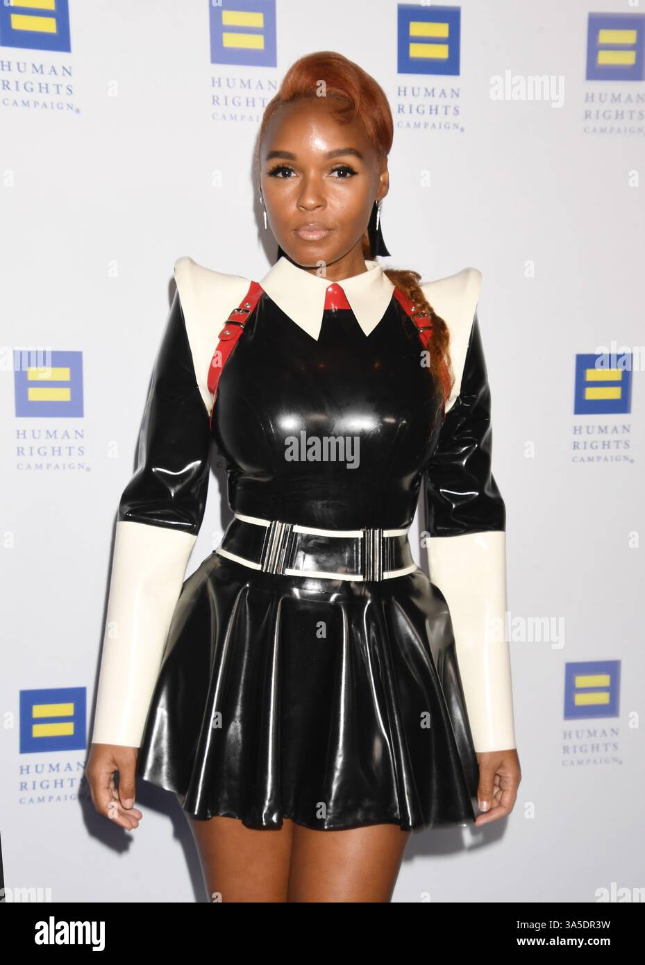 Los Angeles, Ca. 22nd Mar, 2025. Janelle Monae at the Human Rights ...