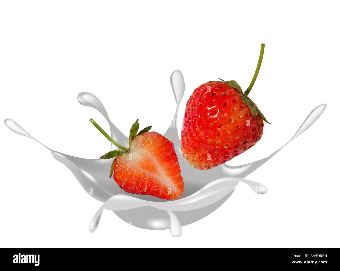 Two fresh strawberries captured splashing in pool of white liquid milk ...