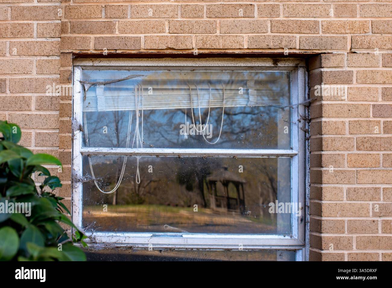 Historic Dorothea Dix Hospital & new urban Dorothea Dix Park, Raleigh ...
