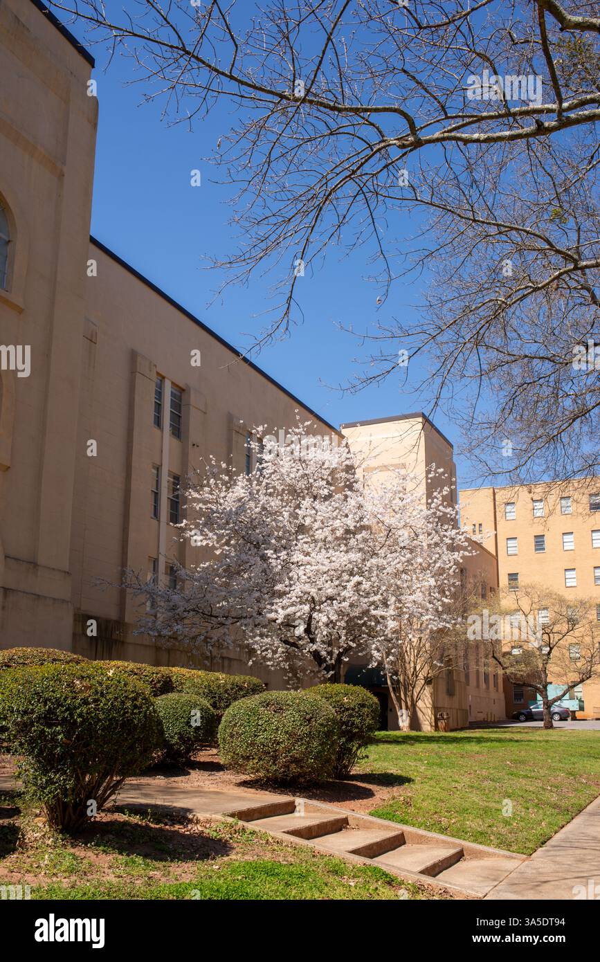 Historic Dorothea Dix Hospital & new urban Dorothea Dix Park, Raleigh ...
