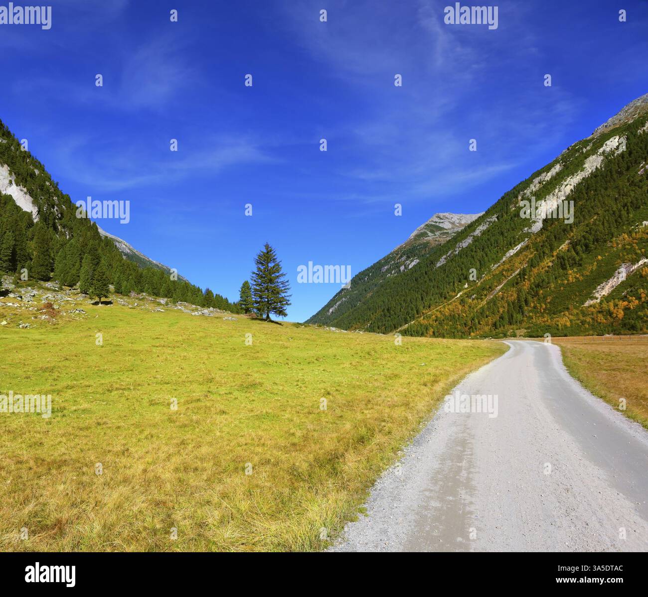 Pine slopes hi-res stock photography and images - Alamy