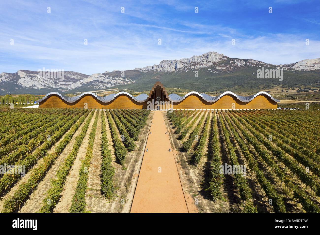 Bird's eye view. Bodegas Ysios winery and rows of vineyards. Laguardia ...