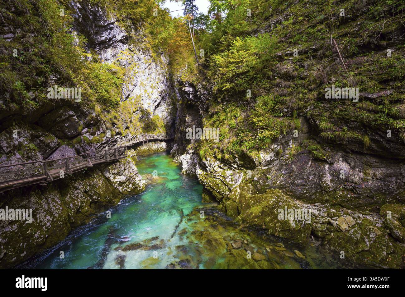 Vintgar gorge. Sunset illuminates the mountain river with azure water ...