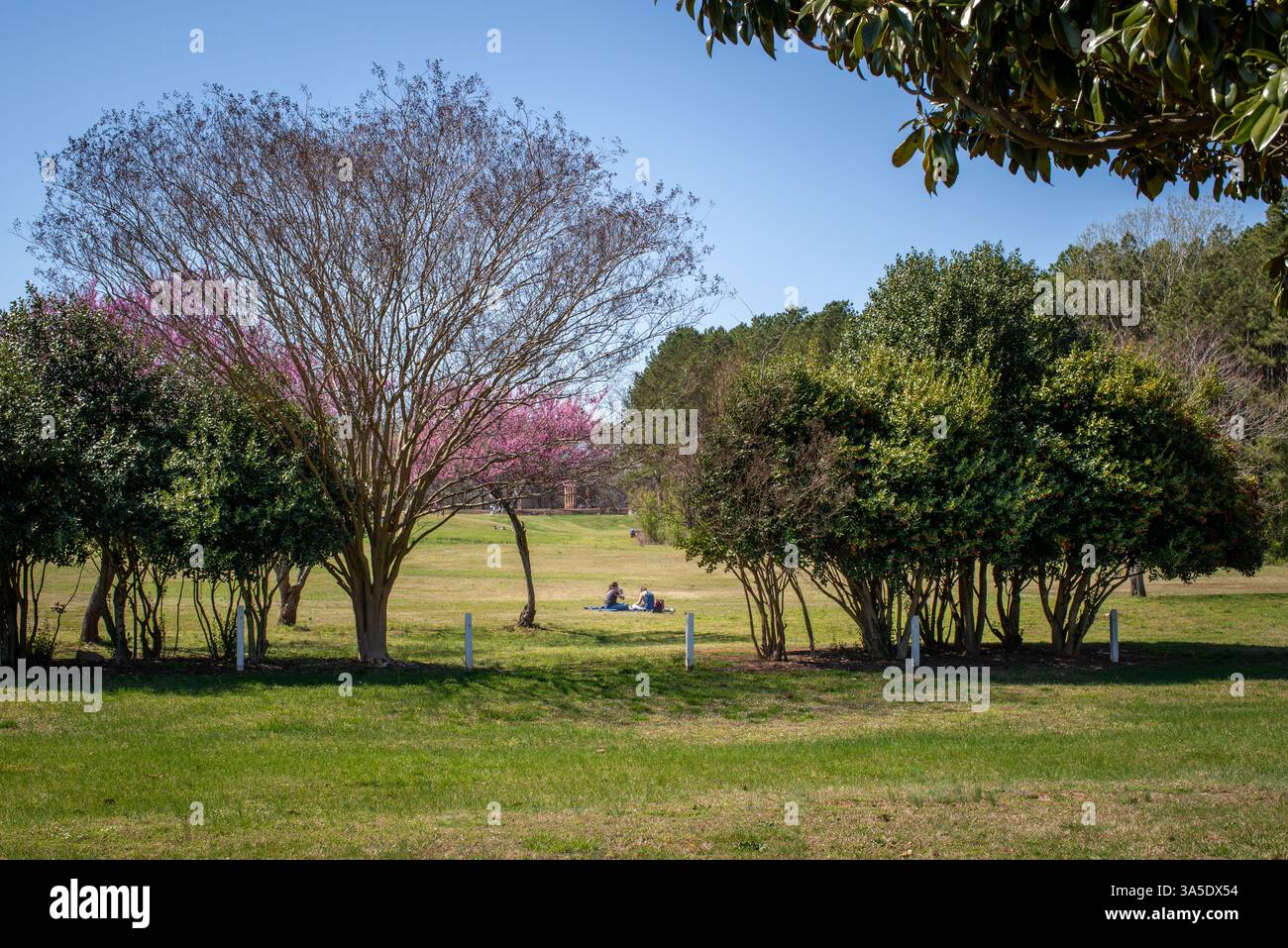 Dorothea Dix Park, Raleigh, North Carolina Stock Photo - Alamy