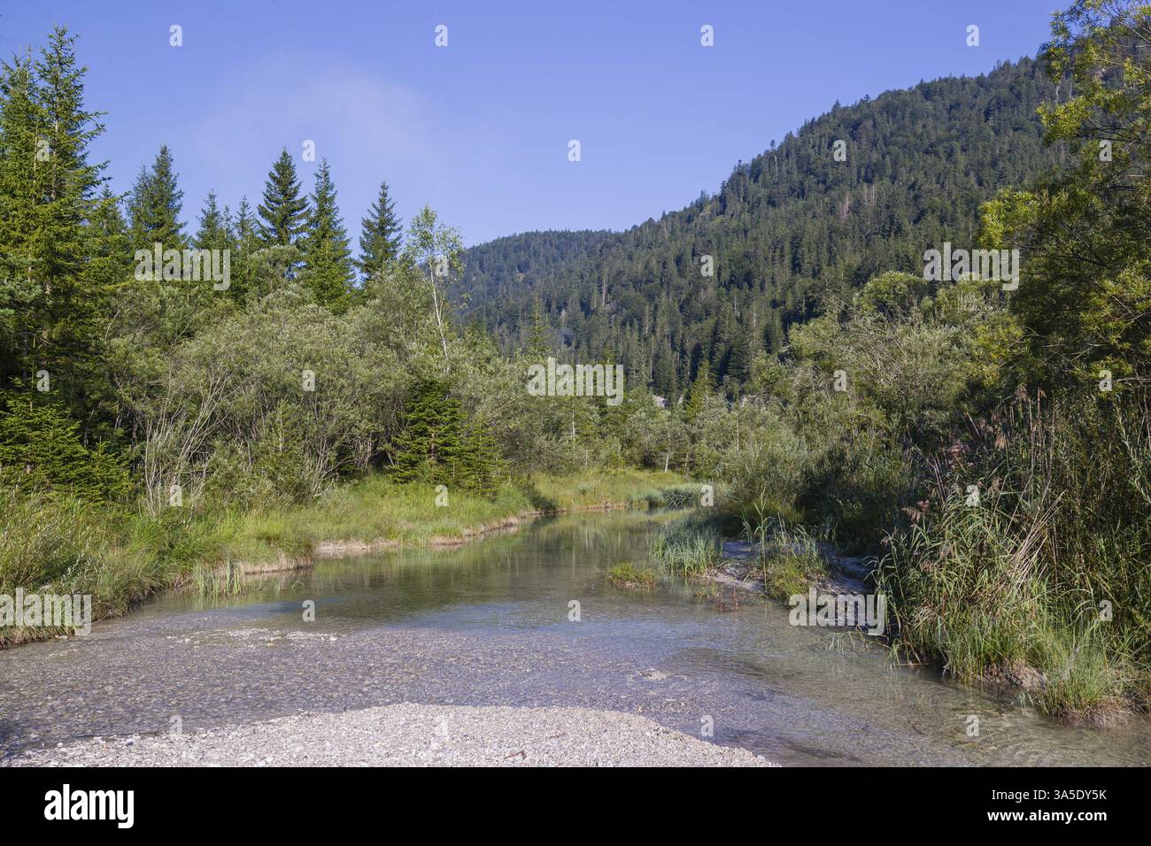 Isar valley nature conservancy area. The wild Isar river flows through ...
