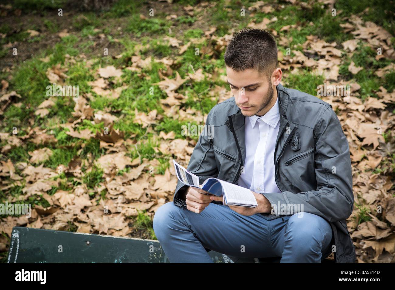 Young man reading brochure while sitting on bench in park Stock Photo ...